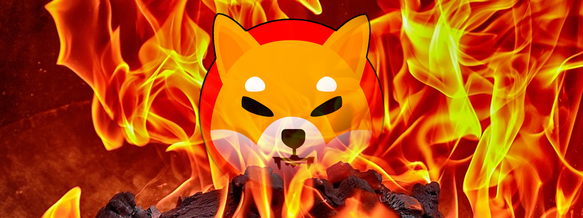 Hot Dog Spotlight: Shiba Inu Burning Importance | CoinRabbit