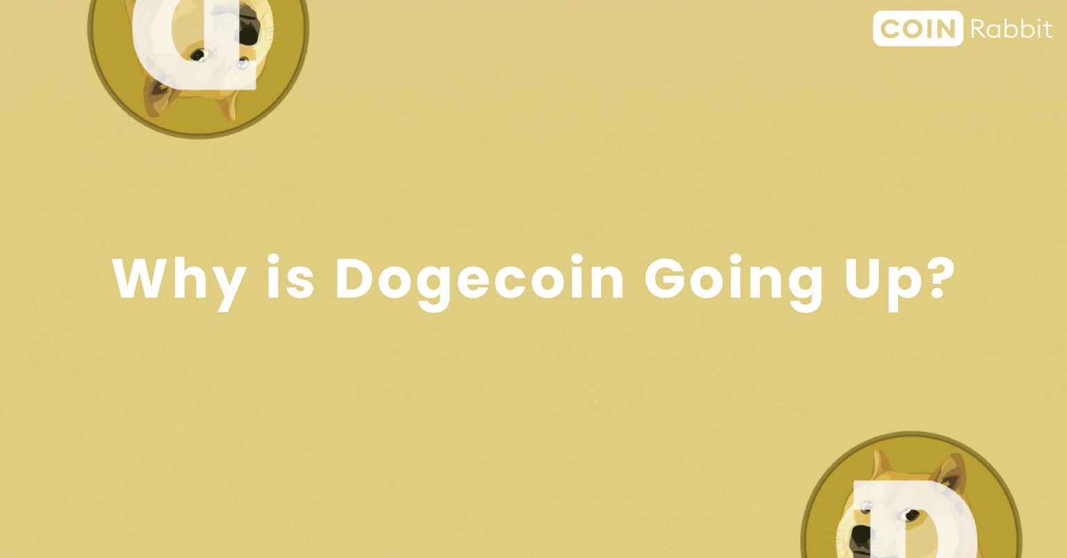 Why Is Dogecoin Going Up? From Doge Meme to Market Surge – CoinRabbit