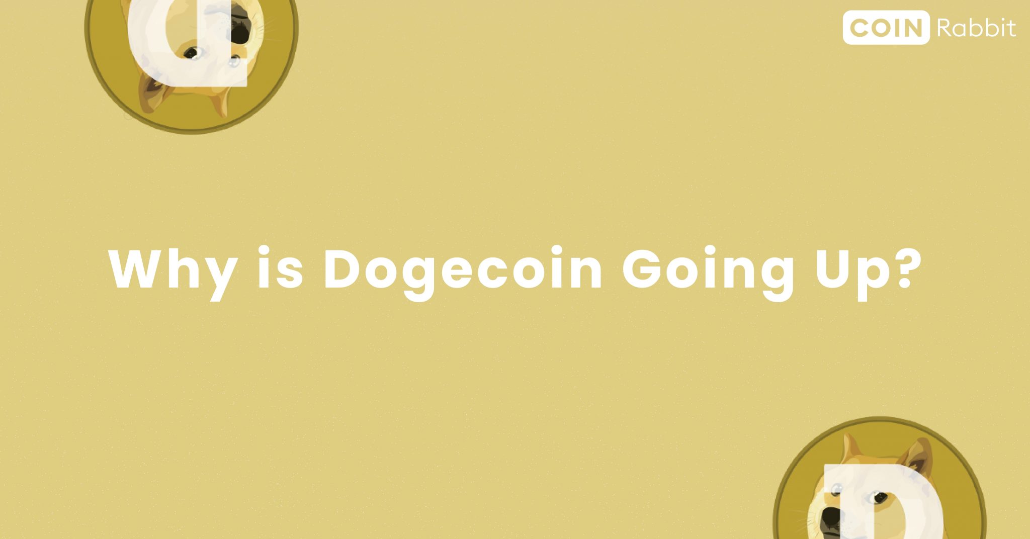 Why Is Dogecoin Going Up? From Doge Meme to Market Surge – CoinRabbit